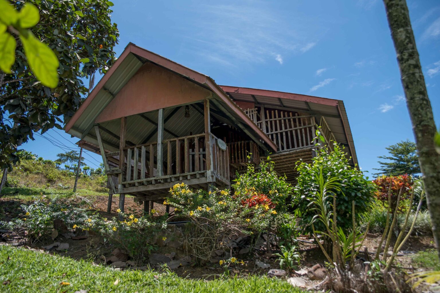 Lodgings > Sabah Tea